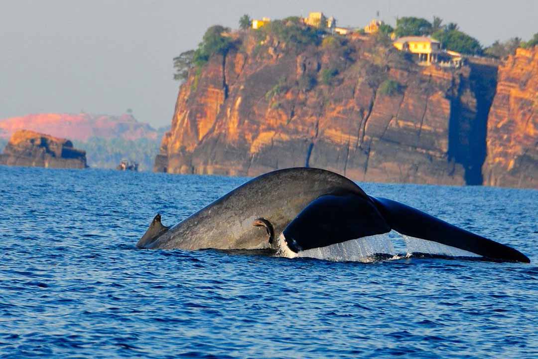 Explore Trincomalee: Top 5 Must-Visit Attractions